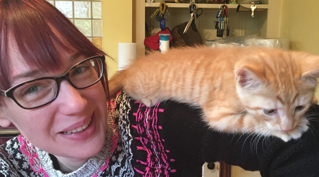 9 Week Old Kitten Care, Feeding and Development