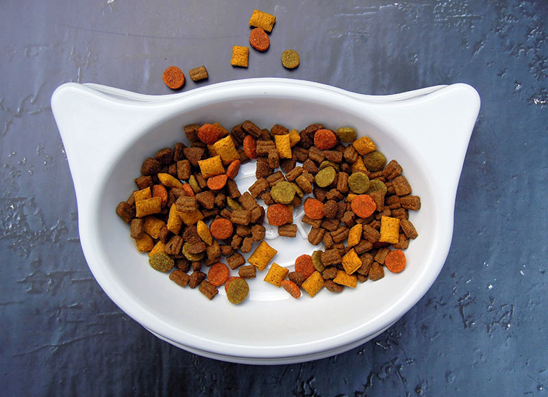 A Complete Guide To The Best Cheap Cat Food Wet And Dry