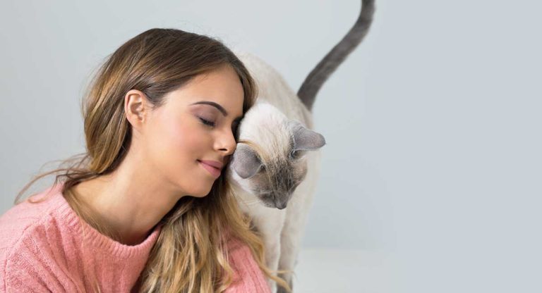 Cat Head Pressing, Bumping, and Rubbing - A Complete Guide