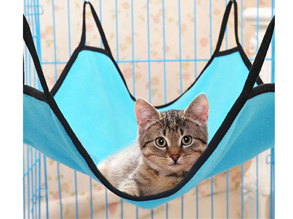 Best Cat Hammocks For Cute Kitties - Reviews And Tips For Choosing