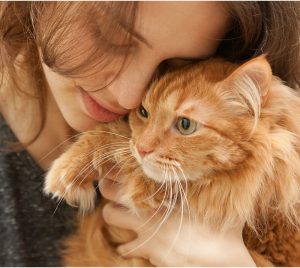 How To Get A Cat To Bond With You - An Expert Guide