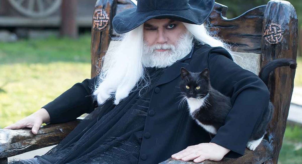 Harry Potter Cat Names - 200 Magical Names From the Potterverse