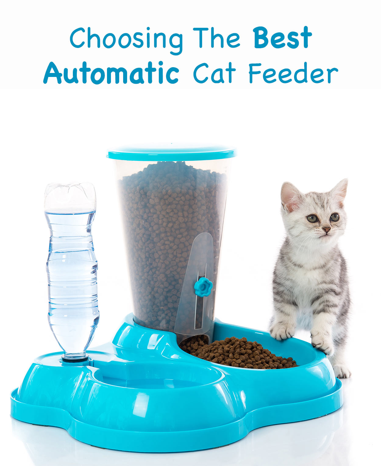 Best Automatic Cat Feeder Best Automatic Cat Feeder