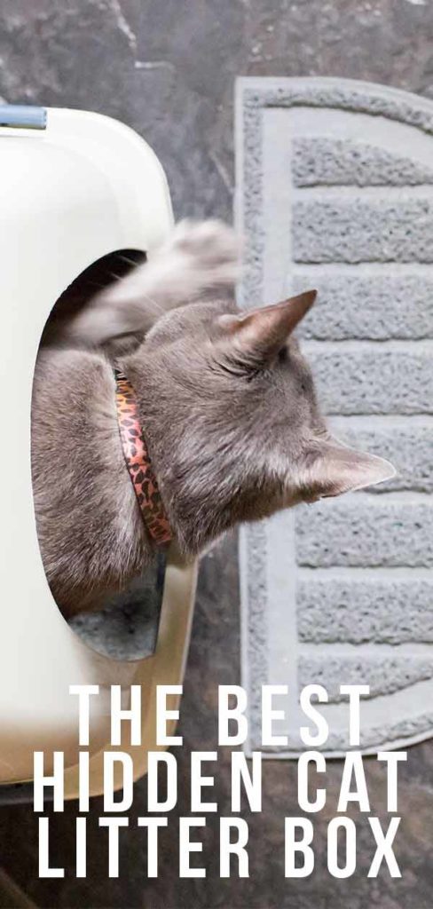 Best Hidden Cat Litter Box - Clever Concealment for Cat Toilets Reviewed