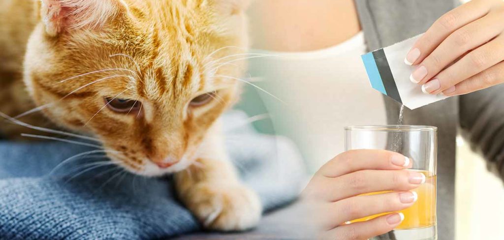 Miralax For Cats With Constipation - A Complete Guide For Owners