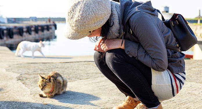 What Does It Mean If A Cat Follows You Home Cat Behaviors Explained