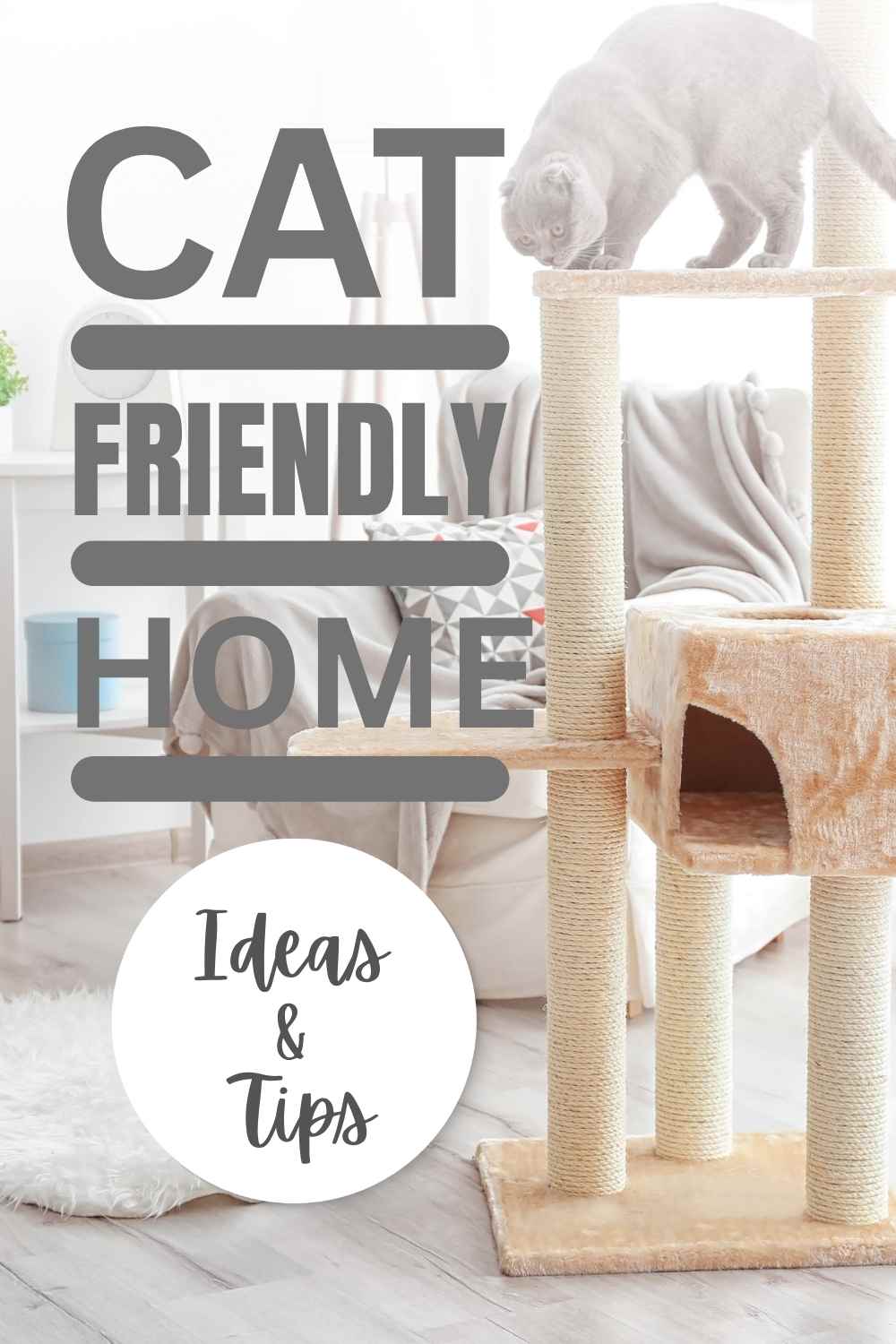 The Surprising Secrets to a Truly Cat-Friendly Home